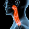 Swallowing (Dysphagia) | The C.A.M. Report